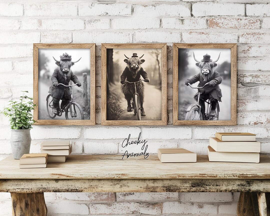 Highland Cow Riding a Bike, Bundle of 3, Funny Animal Wall Art, Cow ...