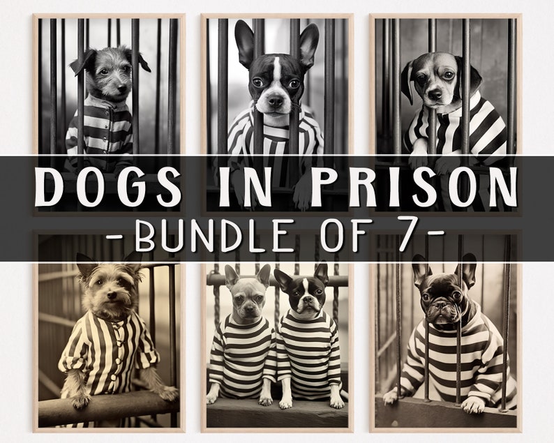 Animals in Jail in Prison Suits Bundle of 35 Funny Vintage - Etsy