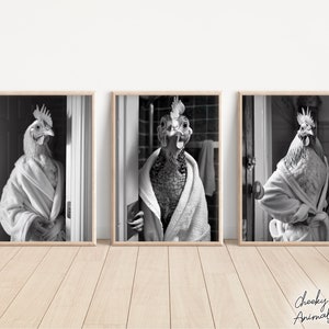 Chickens in a Bathrobe, Bundle of 4, Funny Bathroom Wall Art, Quirky ...
