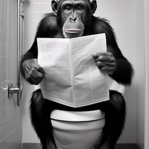 Chimpanzee Sitting on the Toilet Reading a Newspaper, Funny Bathroom ...