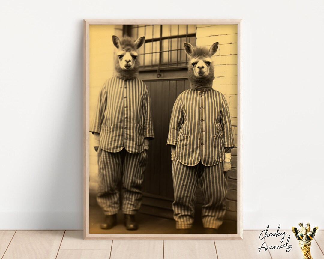 Alpacas in Prison Wearing a Striped Suit, Funny Vintage Animal Print ...