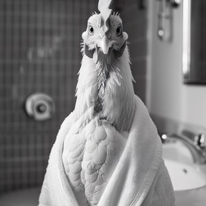 Chickens in a Bathrobe, Bundle of 4, Funny Bathroom Wall Art, Quirky ...