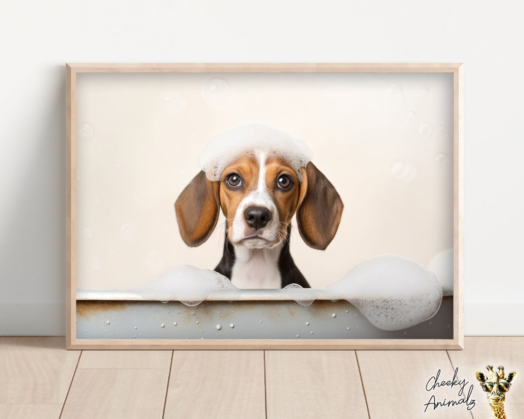 Beagle Pup in the Bathtub, Cute Dog Photograph, Beagle in Bubble Bath ...
