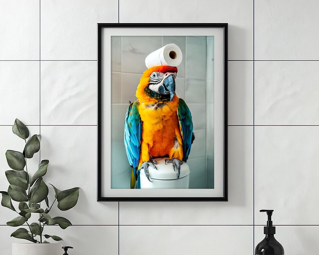 Parrot With a Toilet Paper Roll on Head, Funny Bathroom Wall Art Print ...
