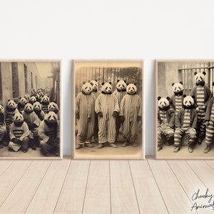 Pandas in Jail, Bundle of 7, Funny Vintage Animal Print, Criminal Panda ...