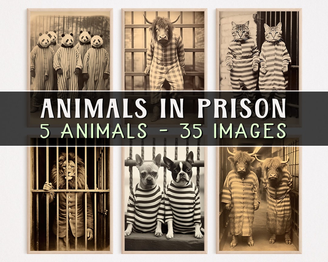 Animals in Jail in Prison Suits, Bundle of 35, Funny Vintage Animal ...