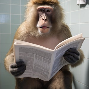 Baboon Ape Sitting on the Toilet Reading a Newspaper, Funny Bathroom ...