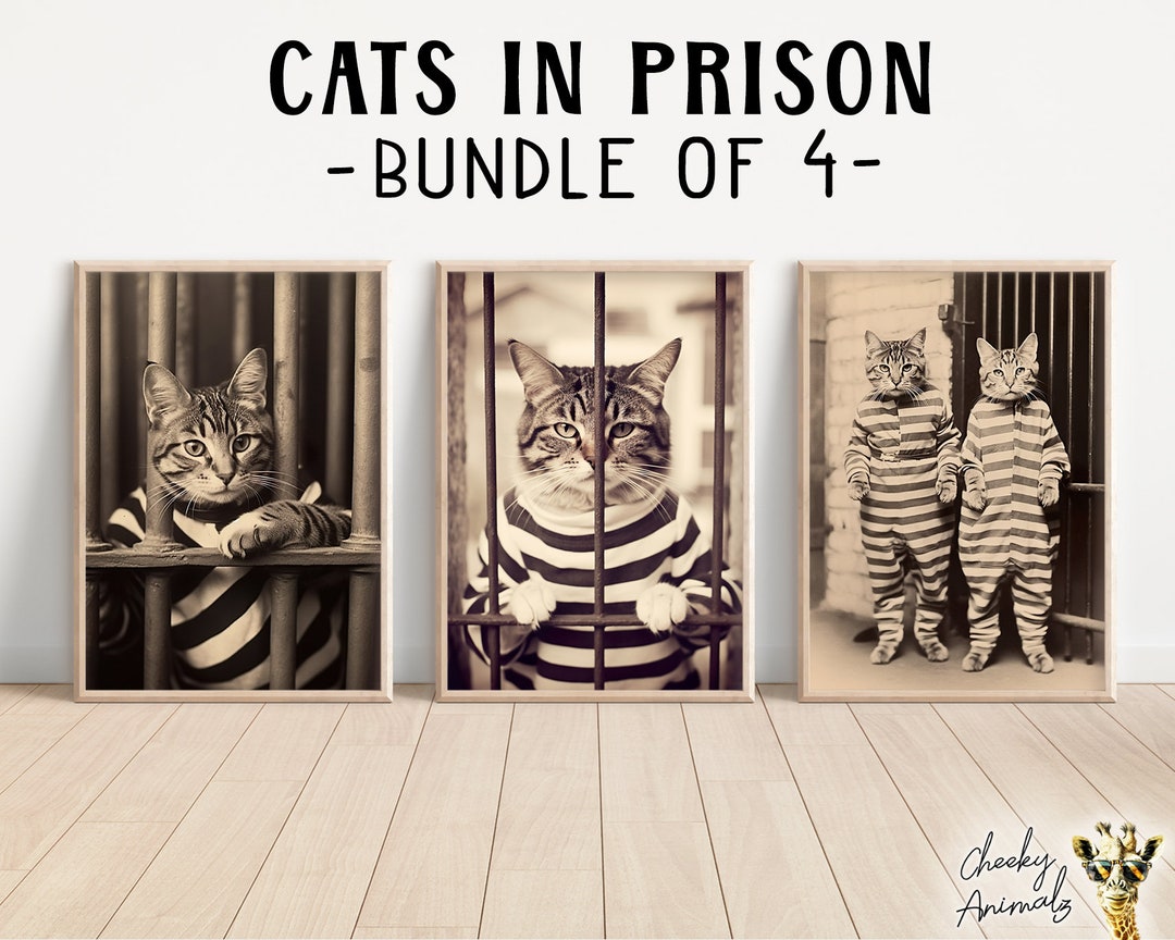 Cats in Jail, Bundle of 4, Funny Vintage Animal Print, Criminal Cat in ...