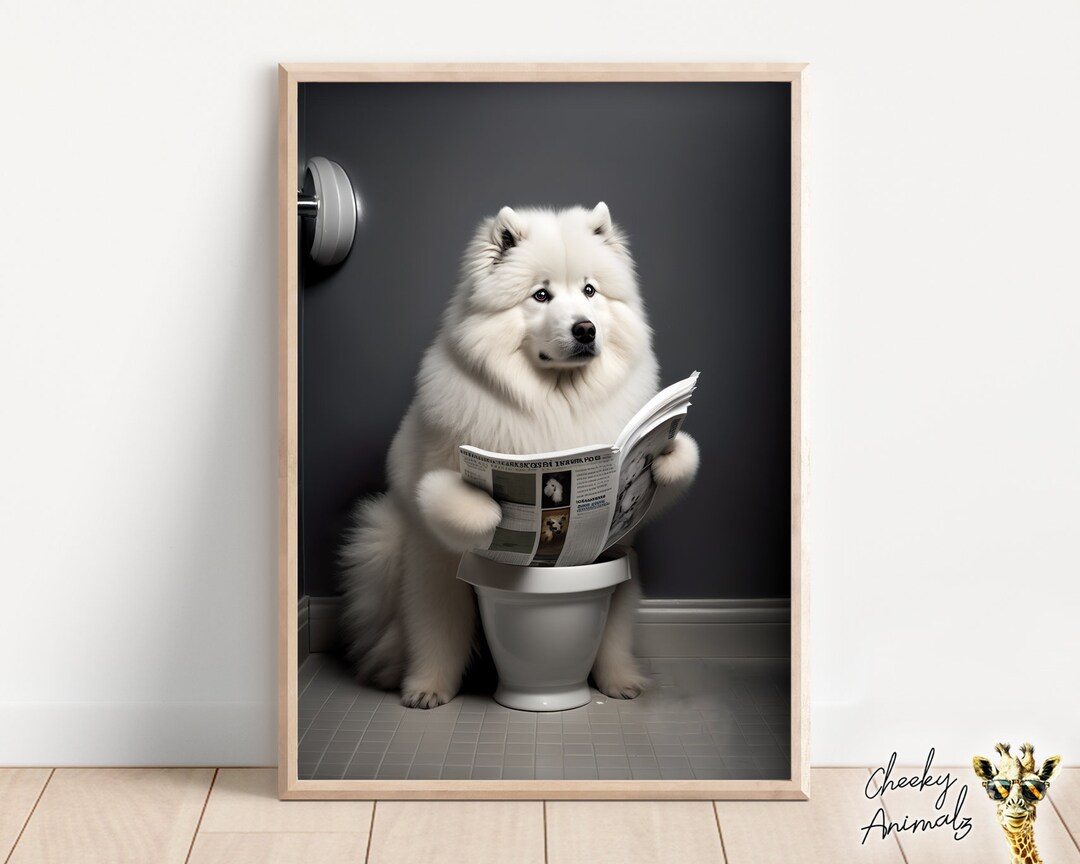 Samoyed Sitting on the Toilet Reading a Newspaper, Funny Bathroom Wall ...