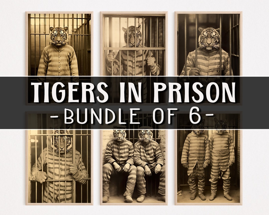 Tigers in Jail, Bundle of 6, Funny Vintage Animal Print, Criminal Tiger ...