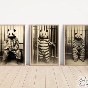Pandas in Jail, Bundle of 7, Funny Vintage Animal Print, Criminal Panda ...