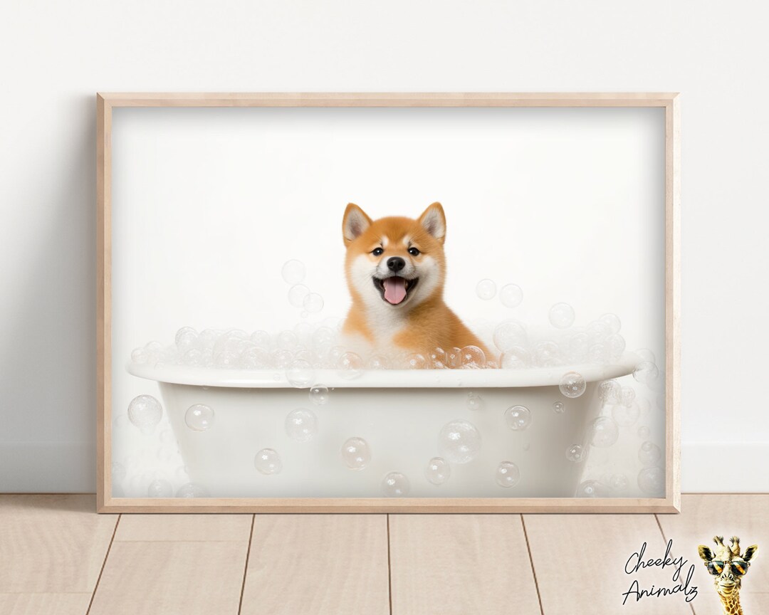 Shiba Inu Pup in the Bathtub, Cute Dog Photograph, Shiba Inu in Bubble ...