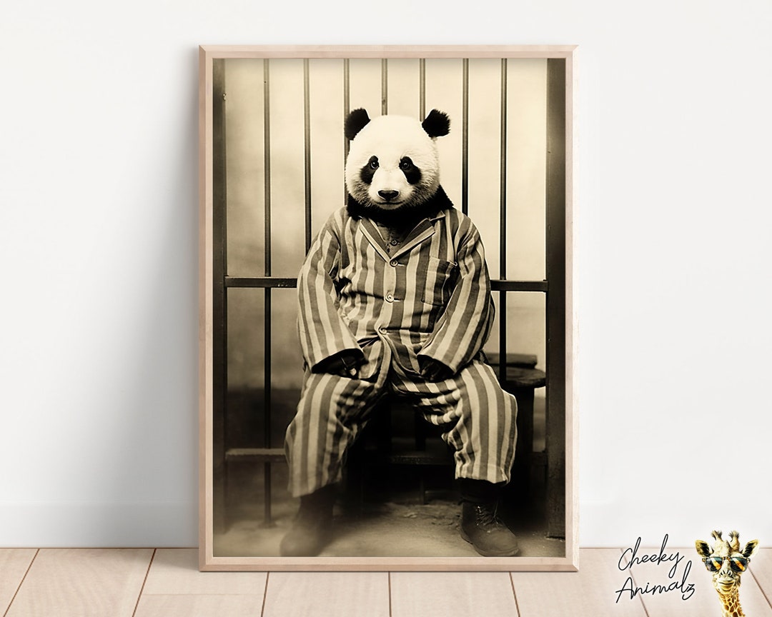 Panda in Prison Wearing a Striped Suit, Funny Vintage Animal Print ...
