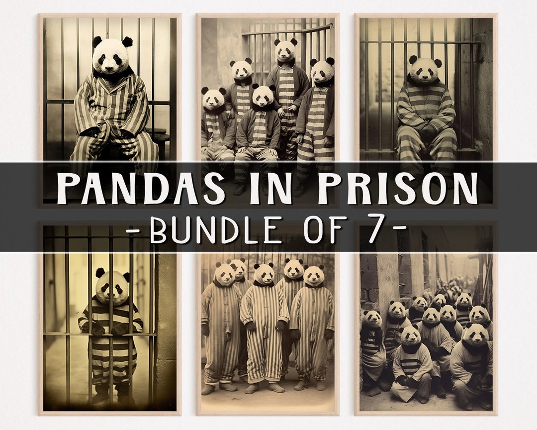 Pandas in Jail, Bundle of 7, Funny Vintage Animal Print, Criminal Panda ...