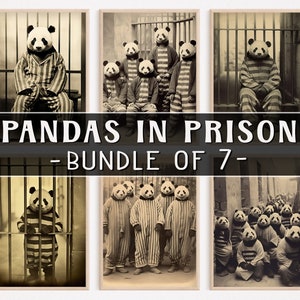 Pandas in Jail, Bundle of 7, Funny Vintage Animal Print, Criminal Panda ...