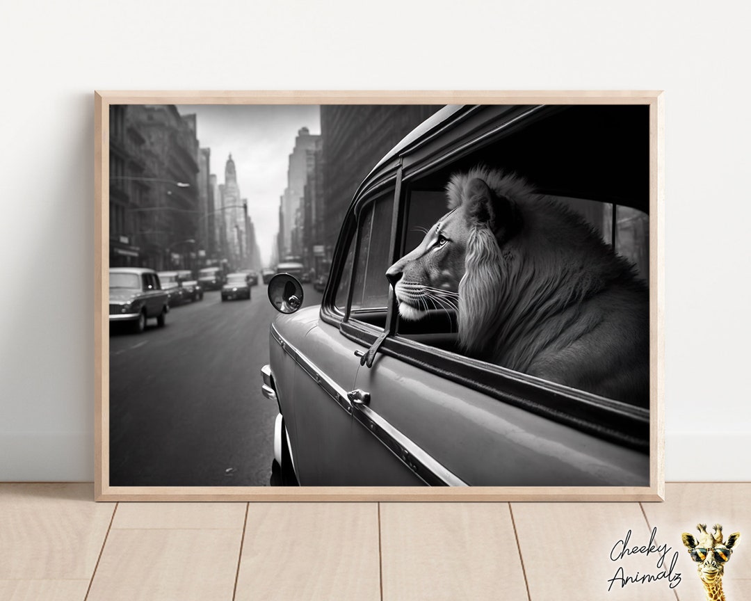 Lion Riding in a Car in New York City, Lion Comes to Town, Funny Animal ...