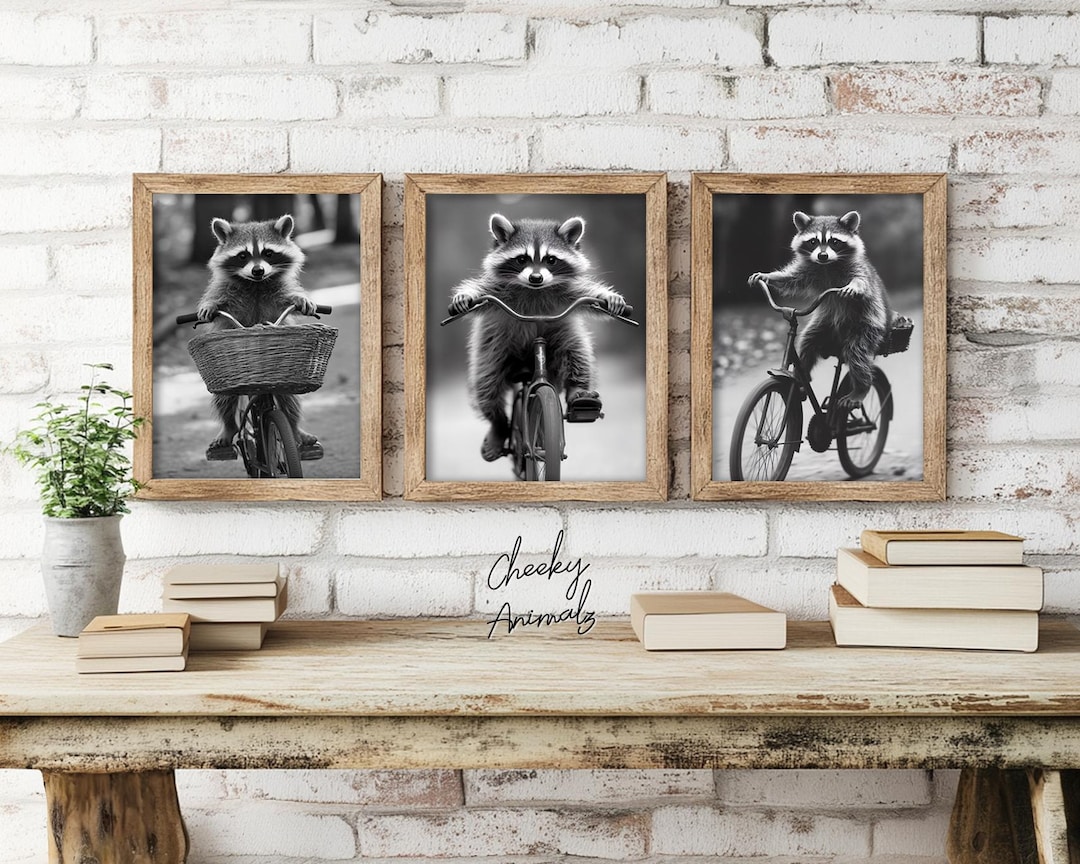 Raccoon on Bicycle Print Set: Funny Animal Retro Wall Art (digital ...