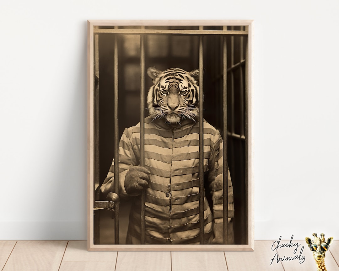 Tiger in Prison Wearing a Striped Suit, Funny Vintage Animal Print ...