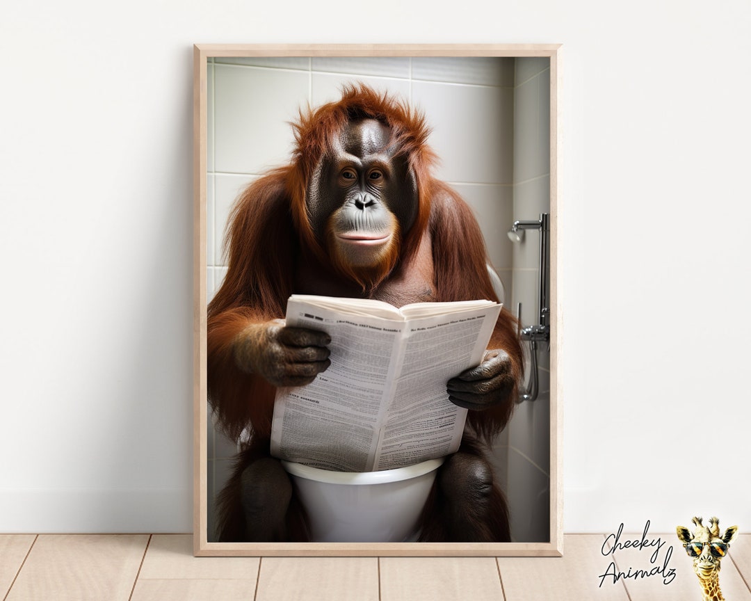 Orangutan Ape Sitting on the Toilet Reading a Newspaper, Funny Bathroom ...