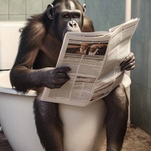 Bonobo Ape Sitting on the Toilet Reading a Newspaper, Funny Bathroom ...