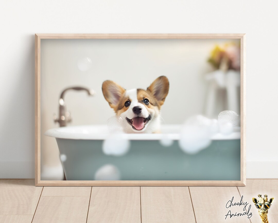 Corgi Pup in the Bathtub, Cute Dog Photograph, Corgi in Bubble Bath ...