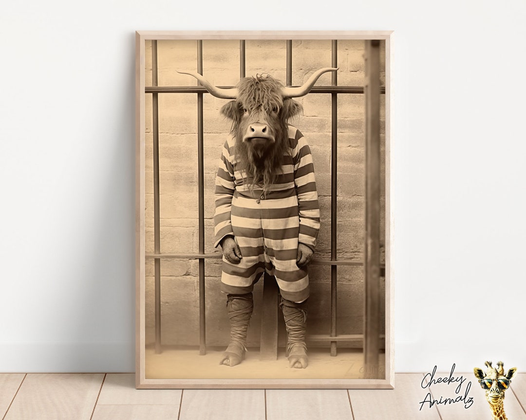 Highland Cow in Prison Wearing a Striped Suit, Funny Vintage Animal ...