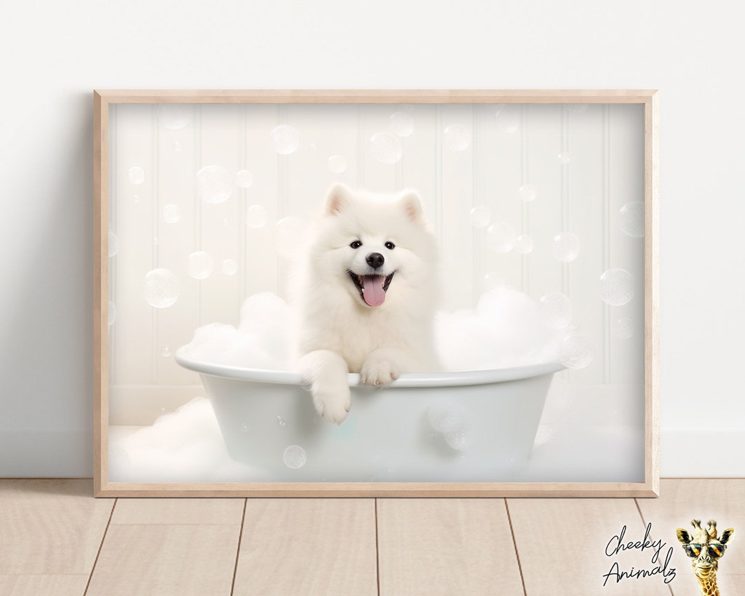 Samoyed Pup in the Bathtub, Cute Dog Photograph, Samoyed in Bubble Bath ...