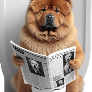 Chow Chow Sitting on the Toilet Reading a Newspaper, Funny Bathroom ...