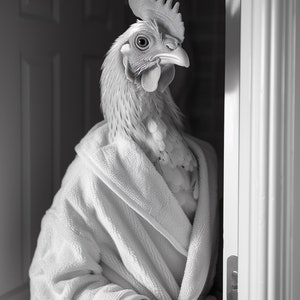 Chickens in a Bathrobe, Bundle of 4, Funny Bathroom Wall Art, Quirky ...