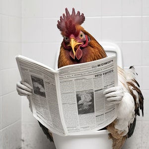 Chicken Sitting on the Toilet Reading a Newspaper, Funny Bathroom Humor ...