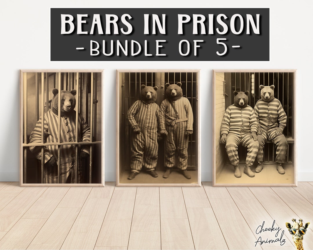 Bears in Jail, Bundle of 5, Funny Vintage Animal Print, Criminal Bear ...