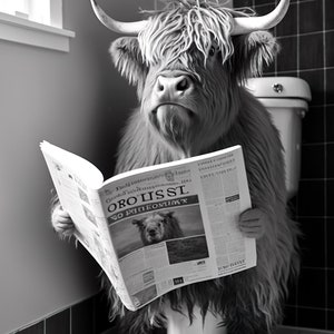 Animals Sitting on the Toilet Reading a Newspaper Bundle, Funny ...