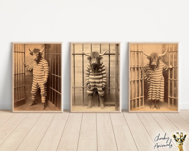Highland Cows in Jail Bundle of 13 Funny Vintage Animal - Etsy