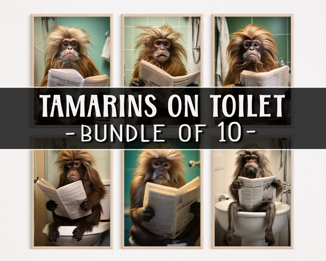 Tamarin Monkey Sitting on the Toilet Reading a Newspaper, Bundle of 10 ...