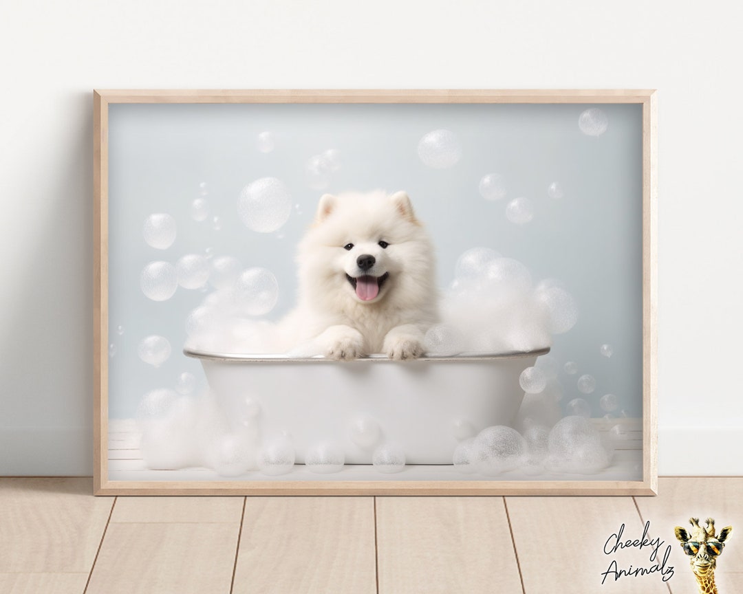 Samoyed Pup in the Bathtub, Cute Dog Photograph, Samoyed in Bubble Bath ...