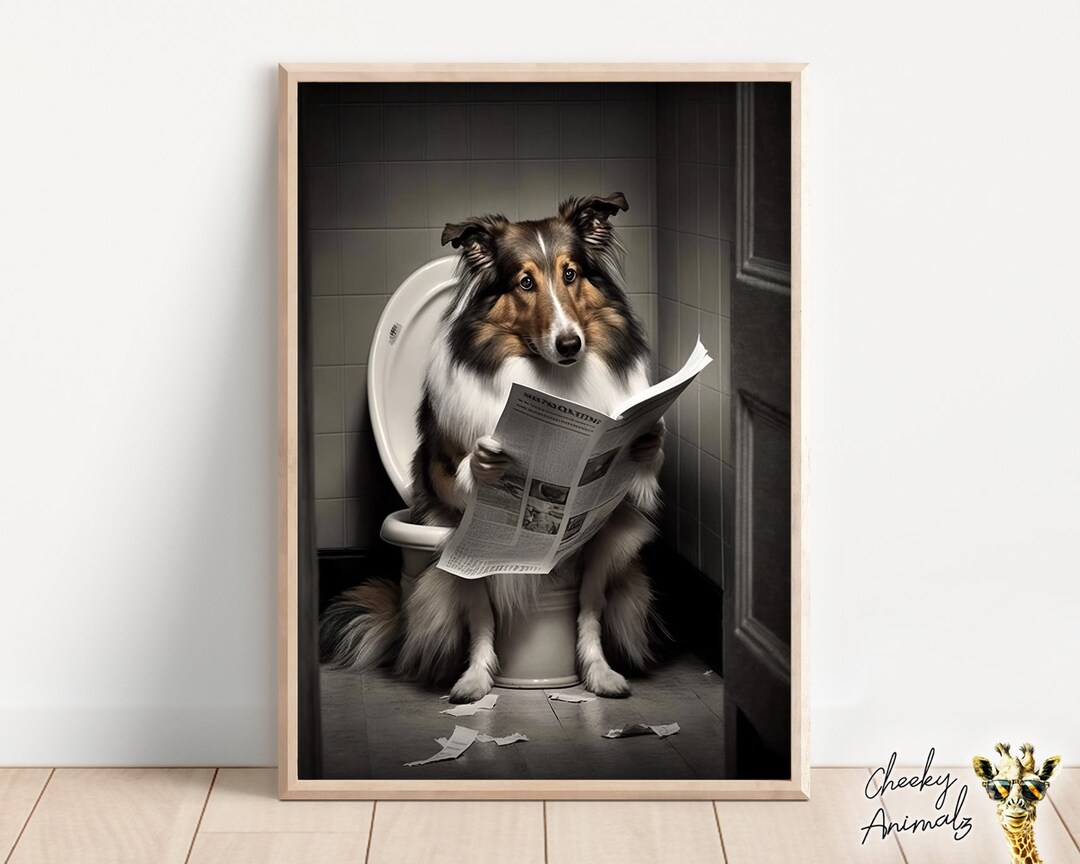 Collie Sitting on the Toilet Reading a Newspaper, Funny Bathroom Wall ...