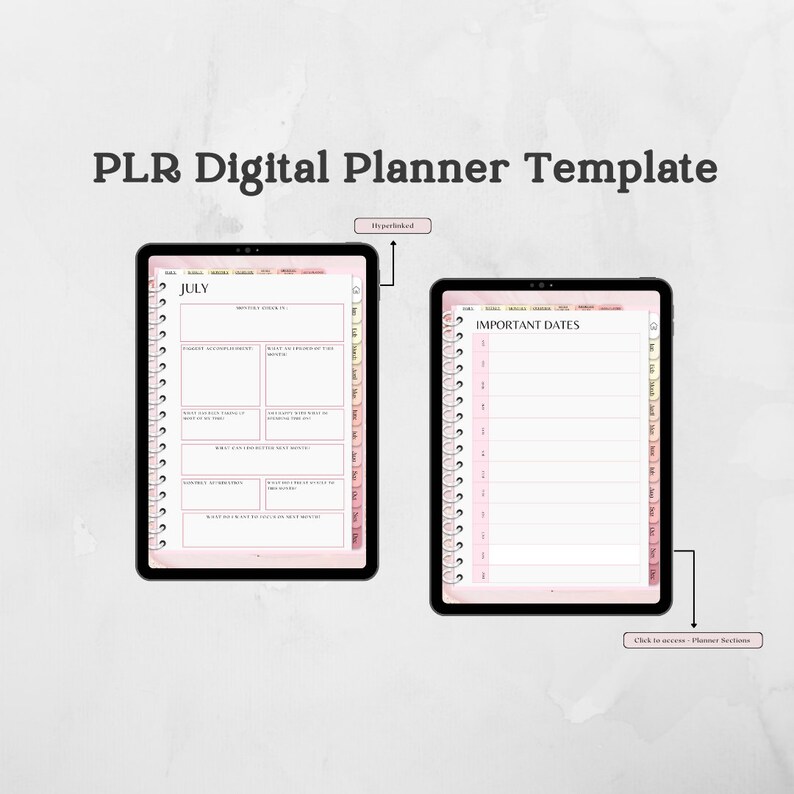 PLR Digital Planner Template, PLR Planner, Plr Planner Template, PLR ...