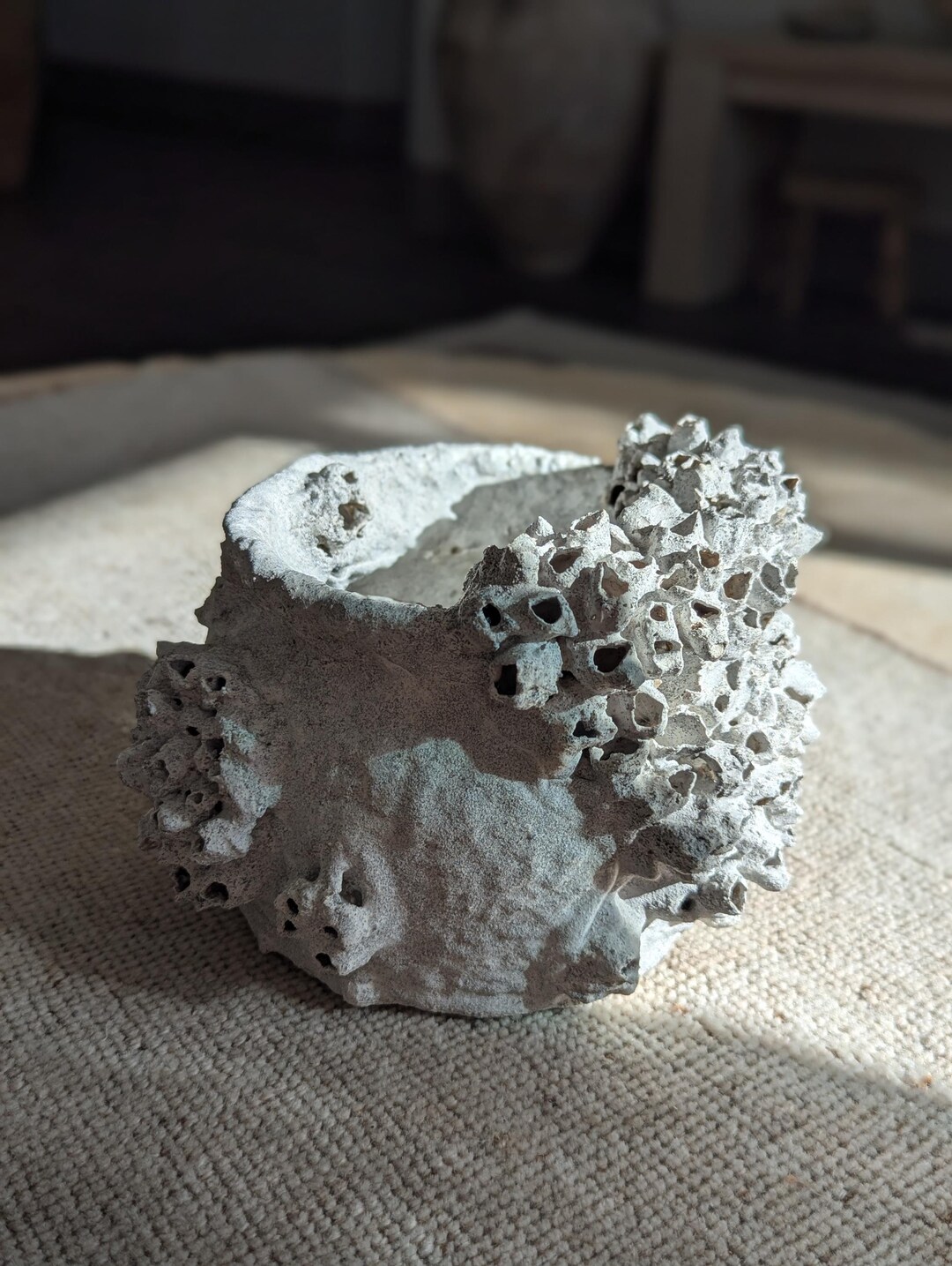 White Shell Barnacle Vase - Etsy
