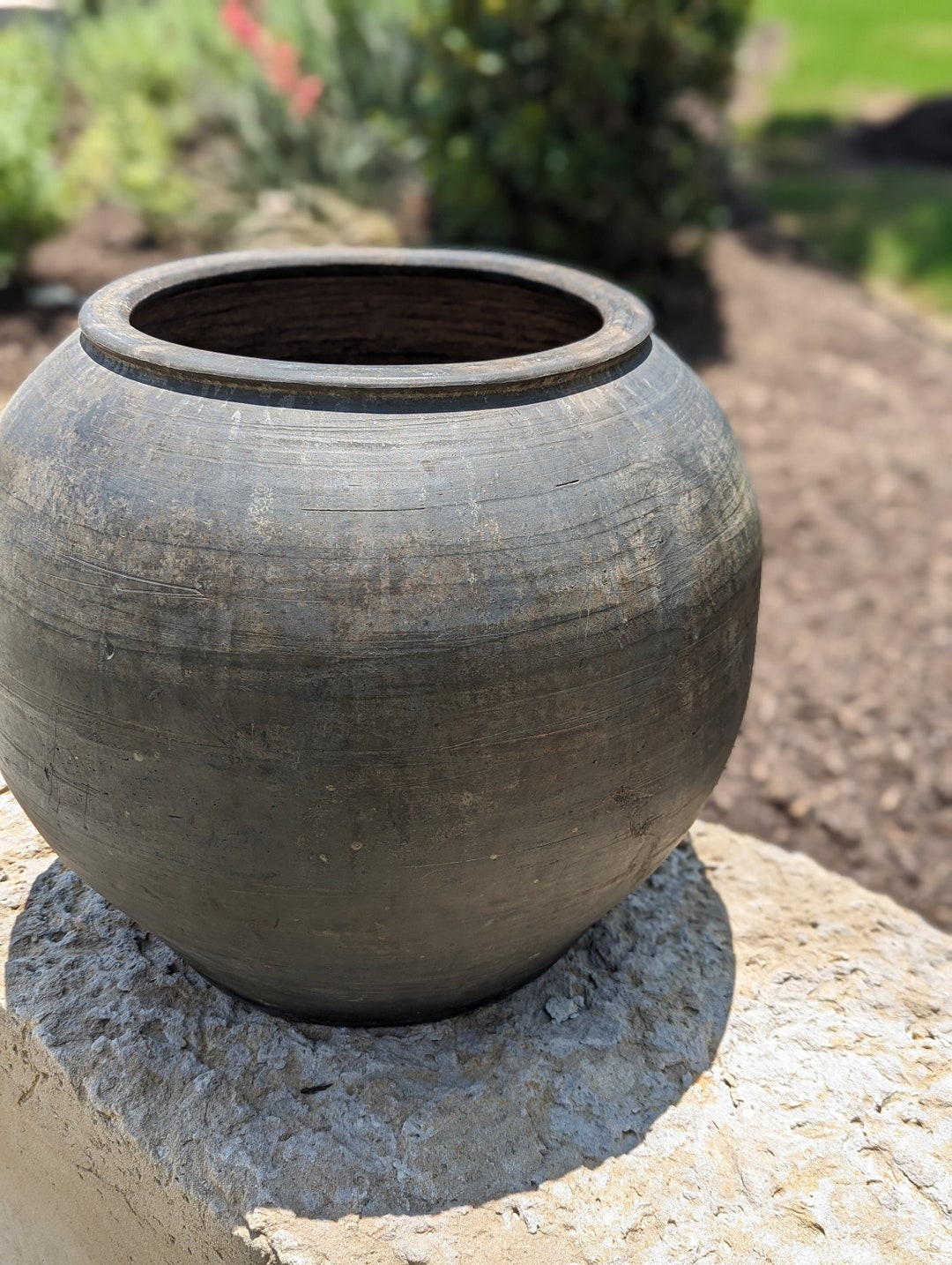 XL Vintage Clay Vessel Olive Tree Pot - Etsy