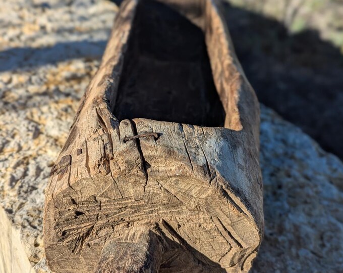 Natural Wood Through/ Large Tree Log Planter/ Large Wood Bowl/ Wood ...