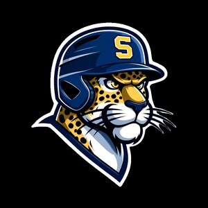 Geaux Jags - Southern Jaguars Baseball Digital Image - Original - Etsy