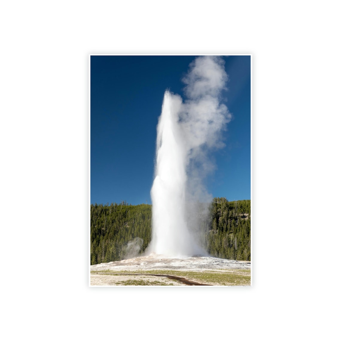 Old Faithful Erupts: Capturing the Timeless Power and Beauty of the ...
