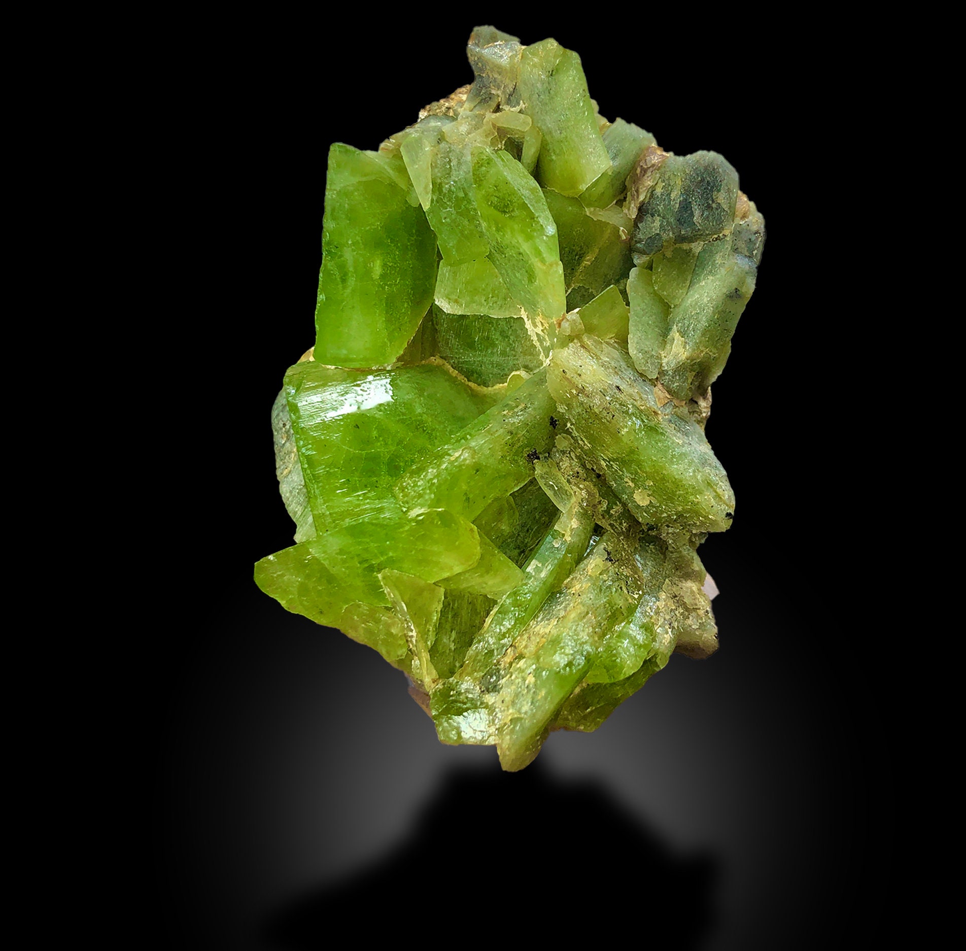Green Peridot Crystal Nice Point, Natural Peridot Mineral Specimen ...
