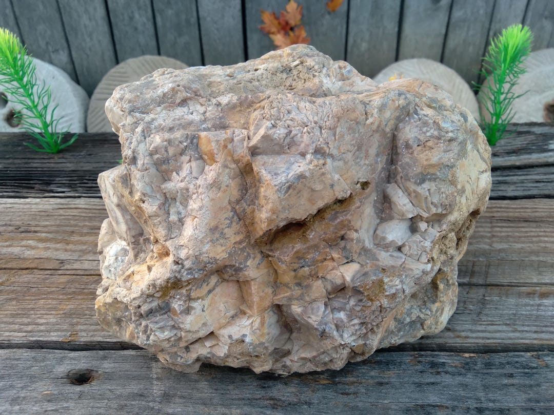 11 Lb Flint / Chert Nodule Central Kentucky Lapidary Flintknapping ...