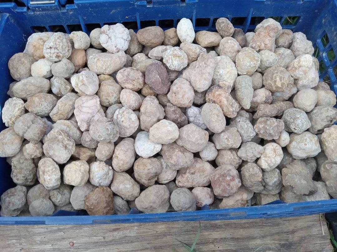 100 Count Whole Unopened Uncut Mini Geodes Jewelry Size Lapidary ...