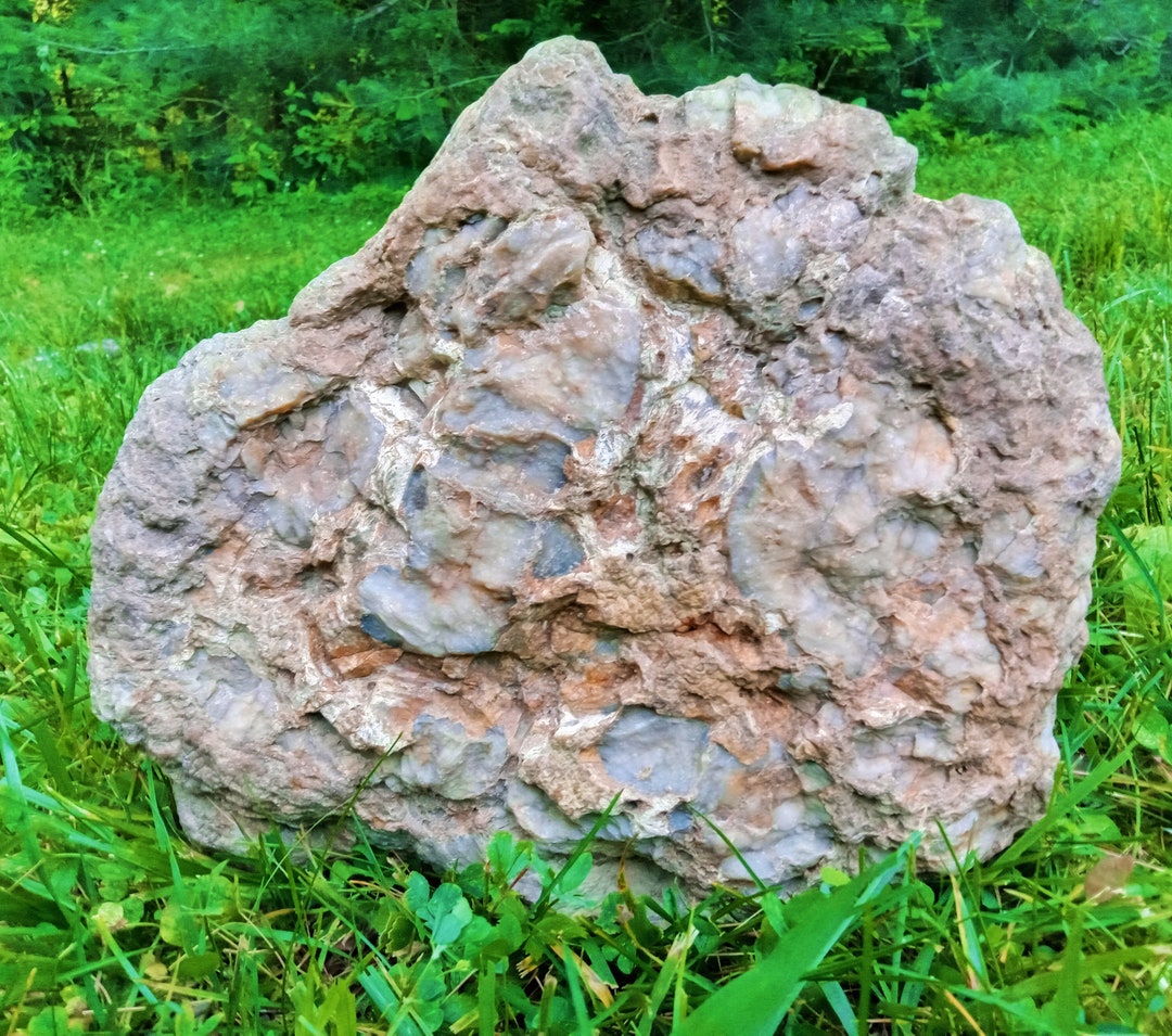 24 Lb Whole Unopened Kentucky Geode Chalcedony Quartz Flat Heavy ...