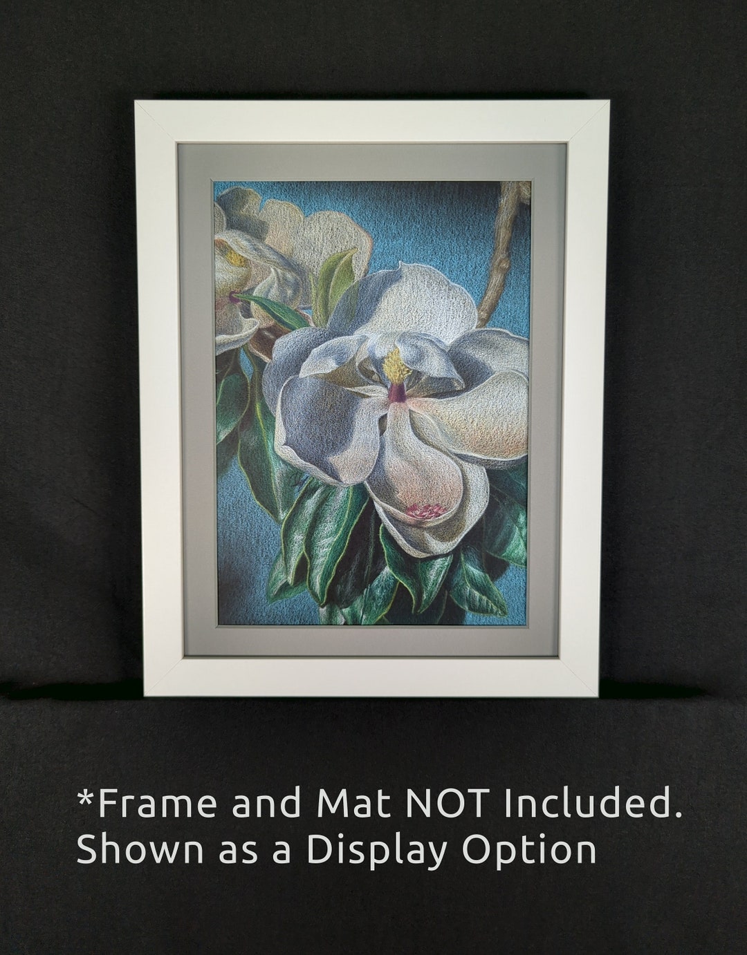 Southern Magnolia (flower) Original Colored Pencil Still Life Drawing ...