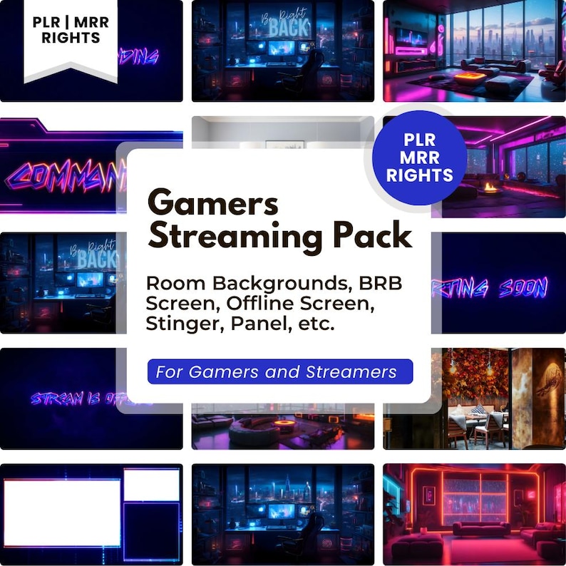 Gamer Stream Overlay Pack | Animated Twitch, Youtube, Facebook (digital ...