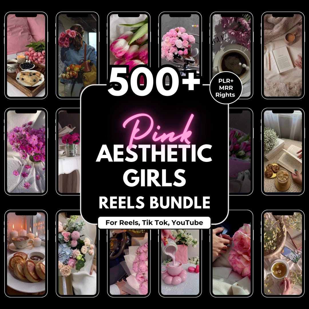 500+ Pink Aesthetic Reels and Video Bundle PLR MRR Tiktok Youtube ...