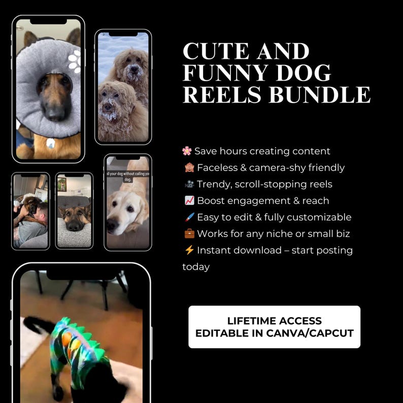 600 Cute and Funny Dog Reels Bundle Faceless Pet Videos for Viral ...